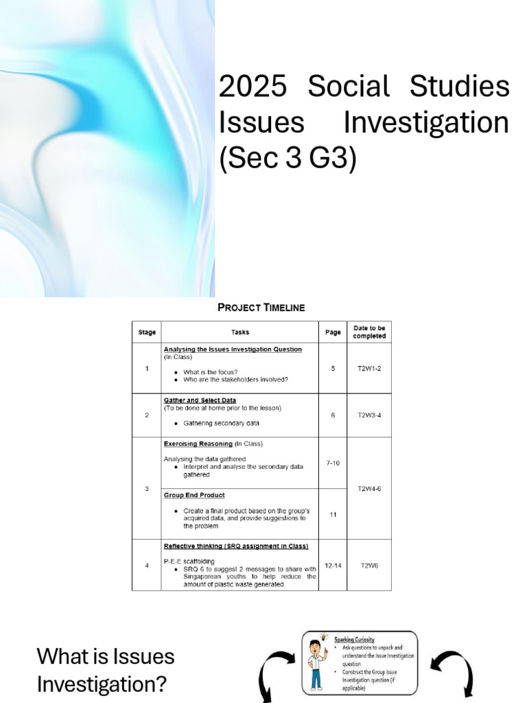 2025 Sec 3 G3 Issues Investigation Briefing | PDF | Waste | Sustainability