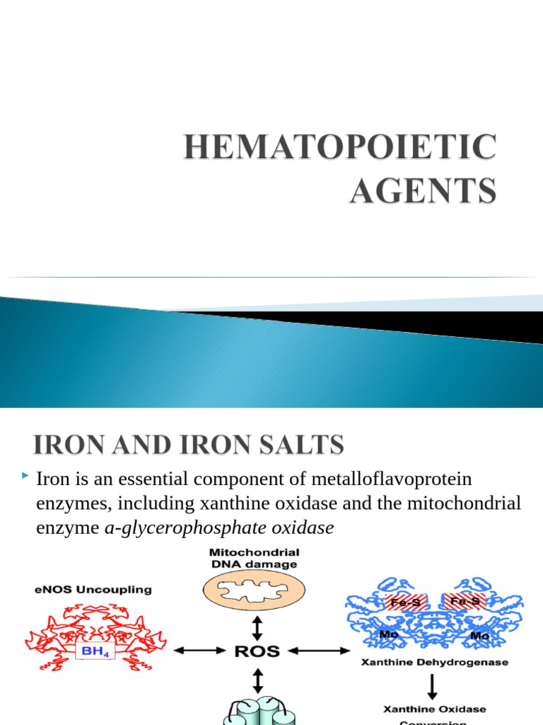 Hematopoietic Agents Iron and Iron Salts-2 | PDF