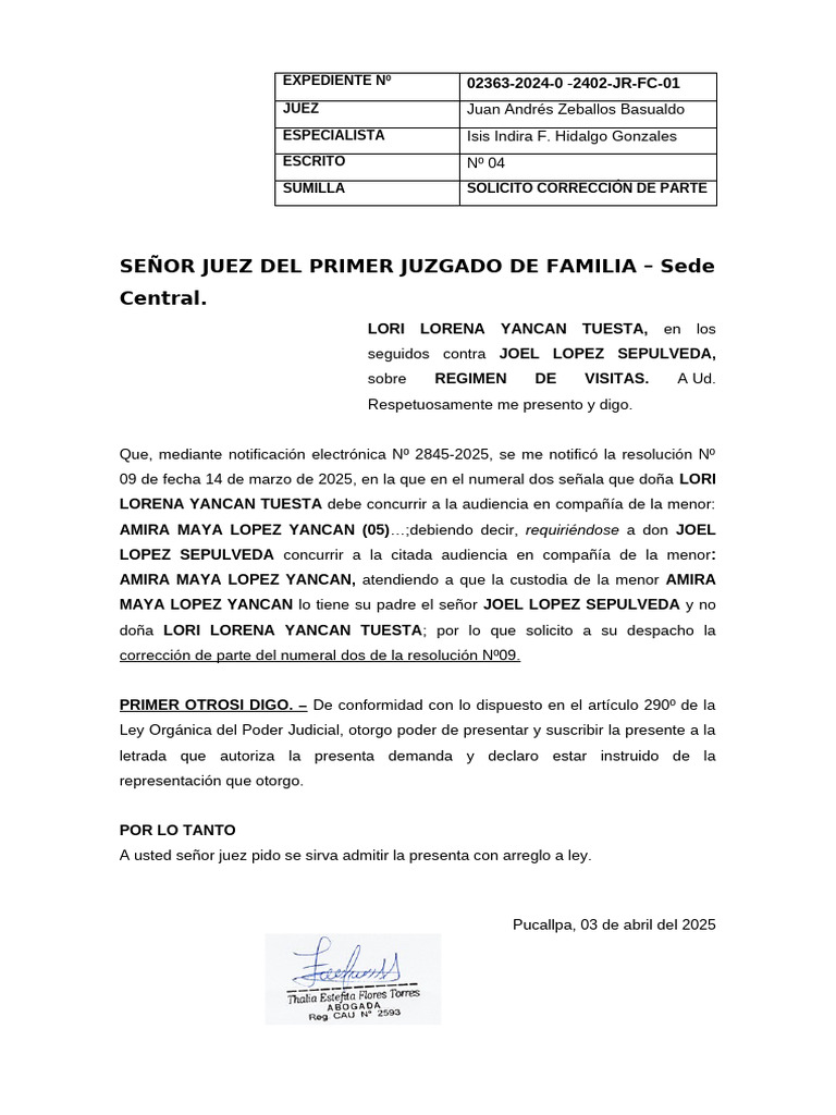 Solicito Coreccion Lori | PDF