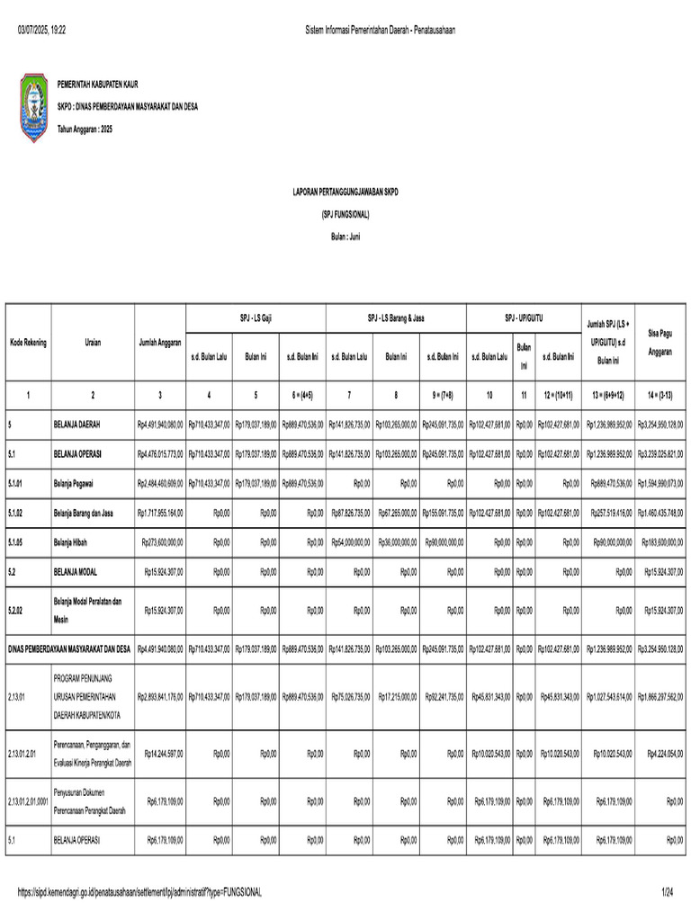 Fungsional DPMD Juni 2025 | PDF