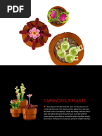 Sanitary Defects | PDF | Hexapoda | Insects And Humans