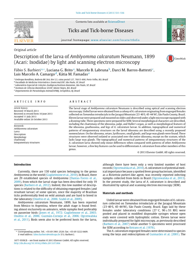 BARBIERI (2013) - Descrição Da Larva de Amblyomma Calcaratum | PDF ...