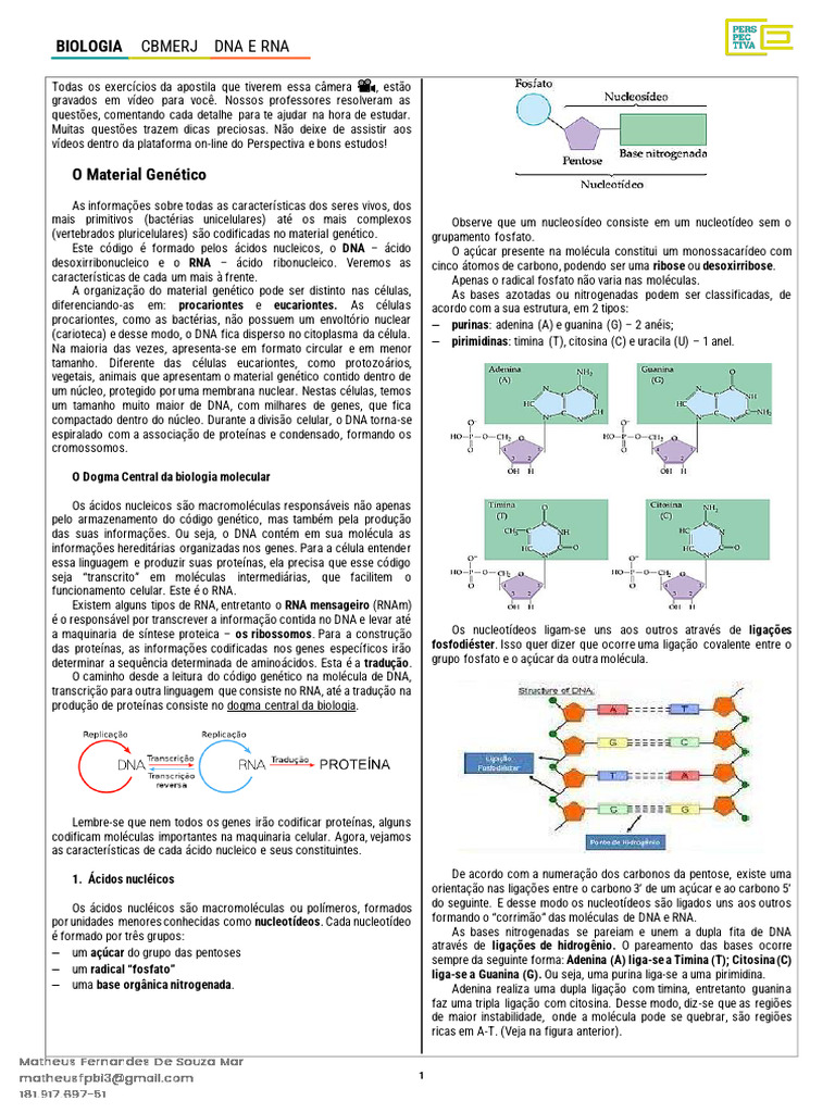 Estrutura e Função do DNA e RNA | PDF | RNA | DNA