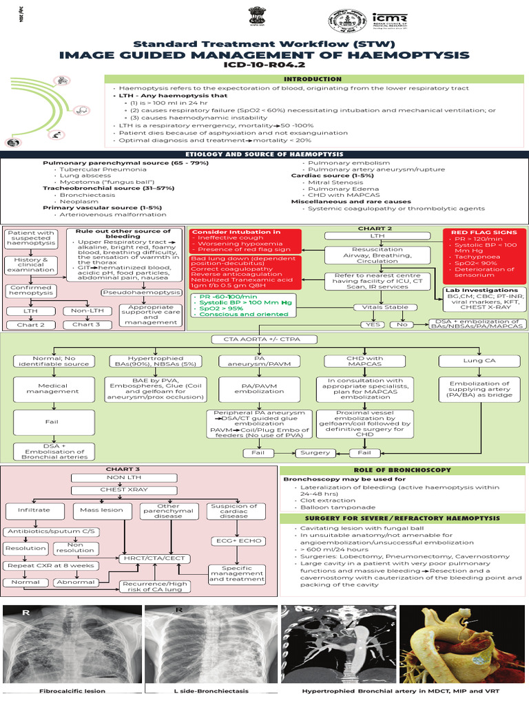 2 Image Guided Management of Haemoptysis | PDF | Clinical Medicine ...