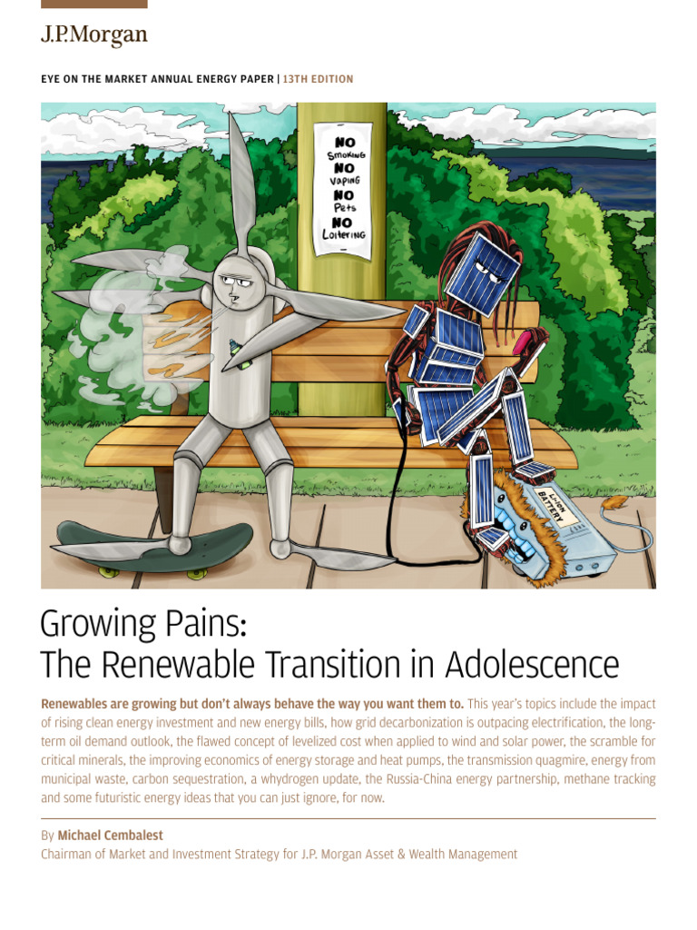 Growing Pains Renewable Transition in Adolescence | PDF | Biofuel ...