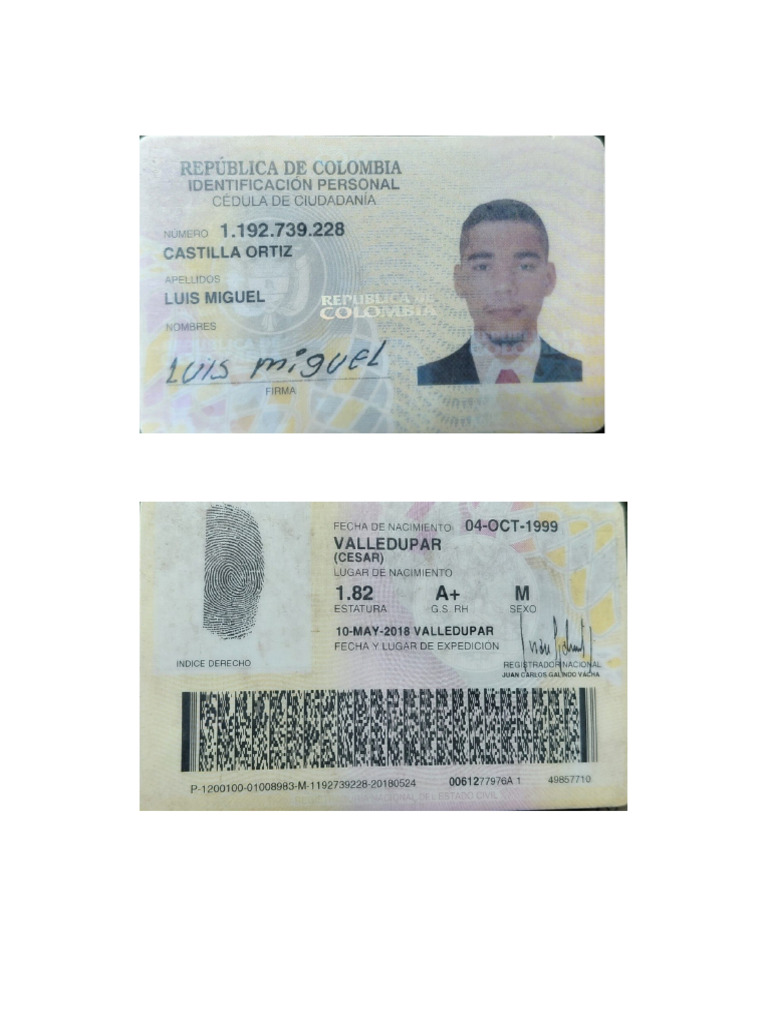 Cedula de Miguel | PDF