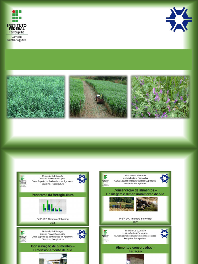Tipos de Forrageiras e Suas Características | PDF | Agricultura | Milho