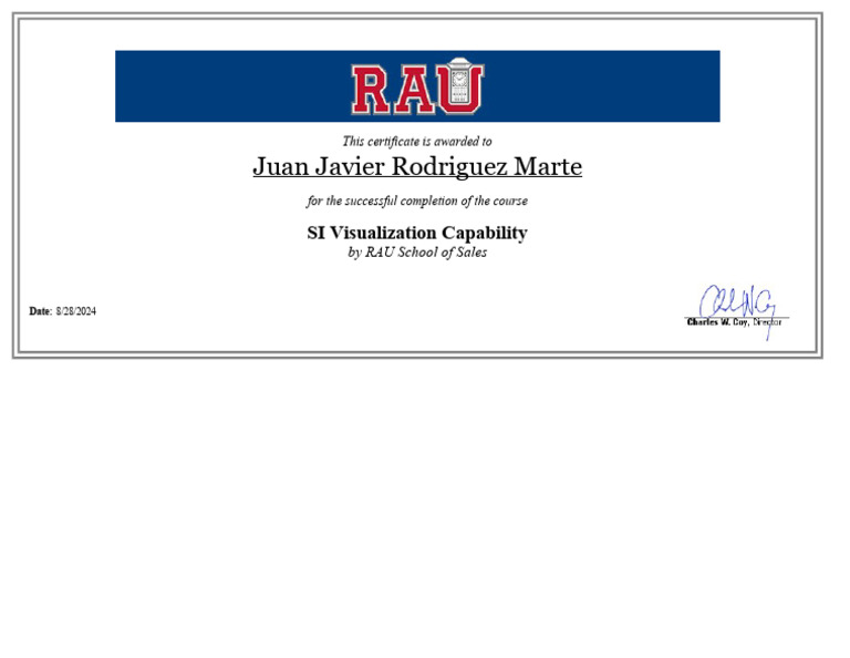 Juan Javier Rod - Si Visualization Capability | PDF