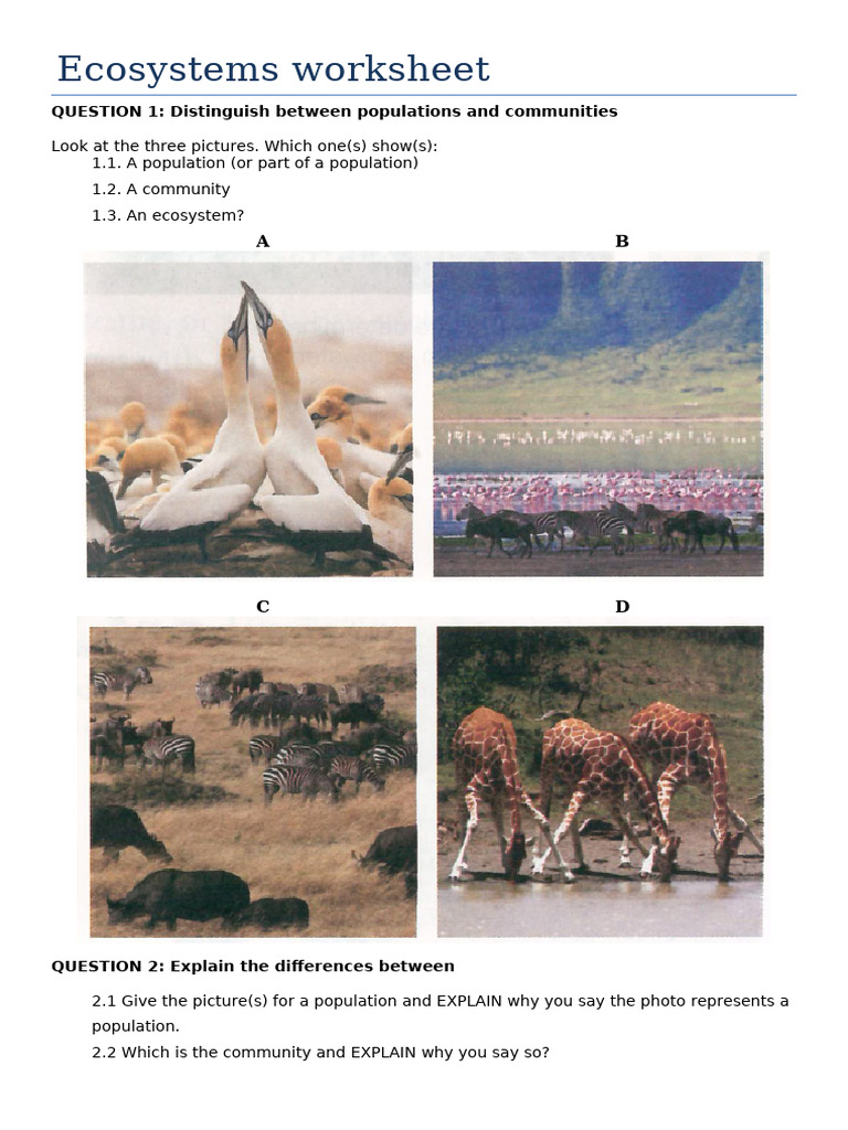 Ecosystems Worksheet: Populations and Communities | PDF