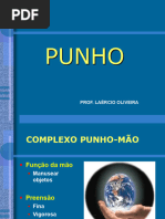 Aula 6 Ossos, Músculos, Inervação e Vascularização Do Punho e Mão | PDF ...