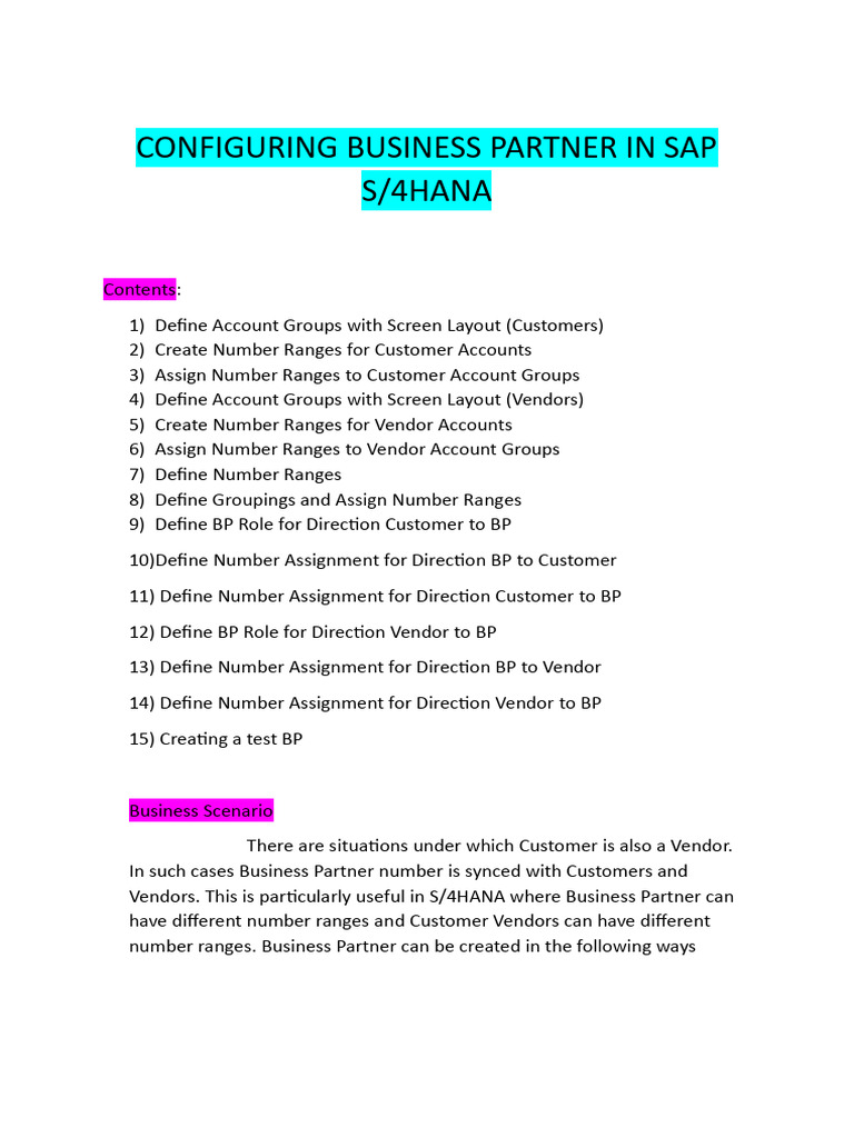 SAP S/4HANA Business Partner Setup Guide | PDF | Computing