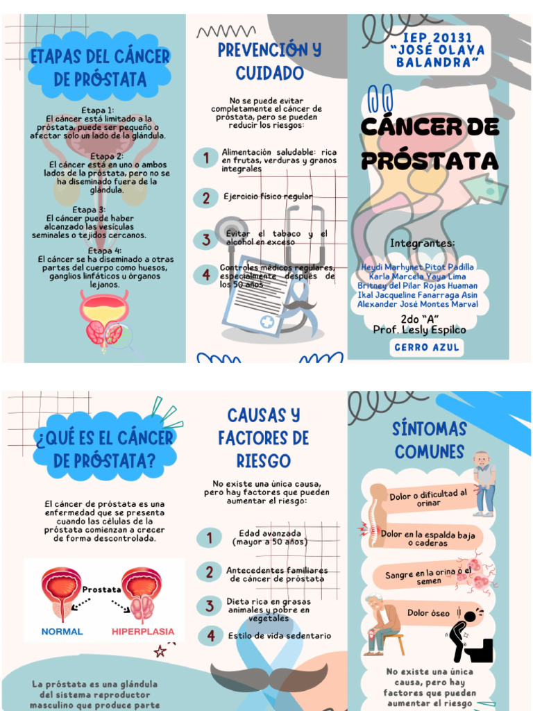 Cancer de Prostata Triptico Alex | PDF
