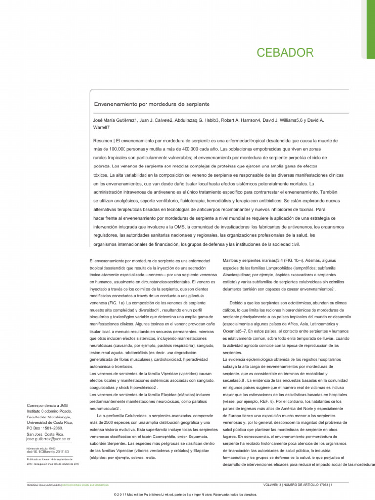 Snakebite Primer-Comprimido | PDF | Veneno | Serpiente