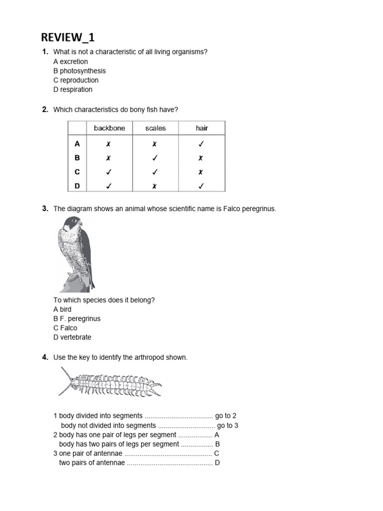 Igcse Bio Exercise | PDF