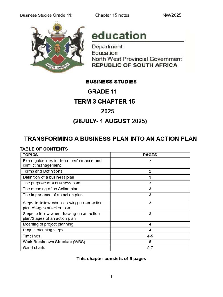Action Plan for Business Transformation | PDF