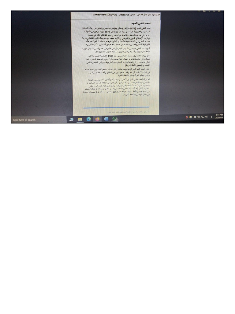 Ahmed Lotfy ElSayed Report | PDF