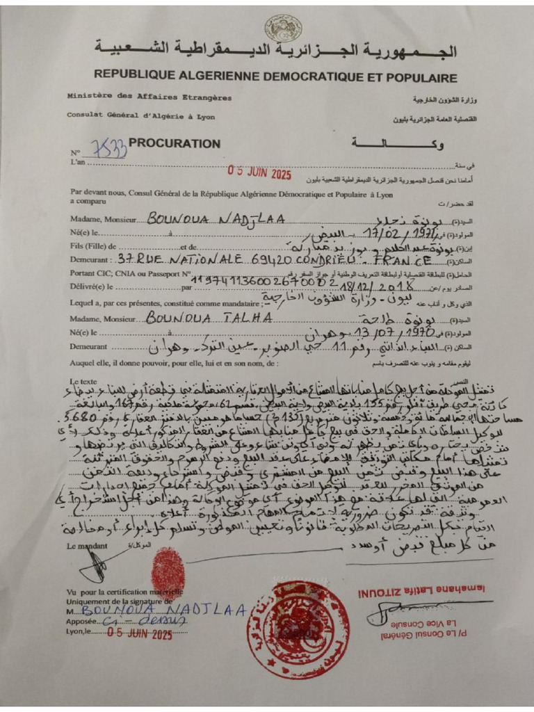 Procuration Consultat | PDF