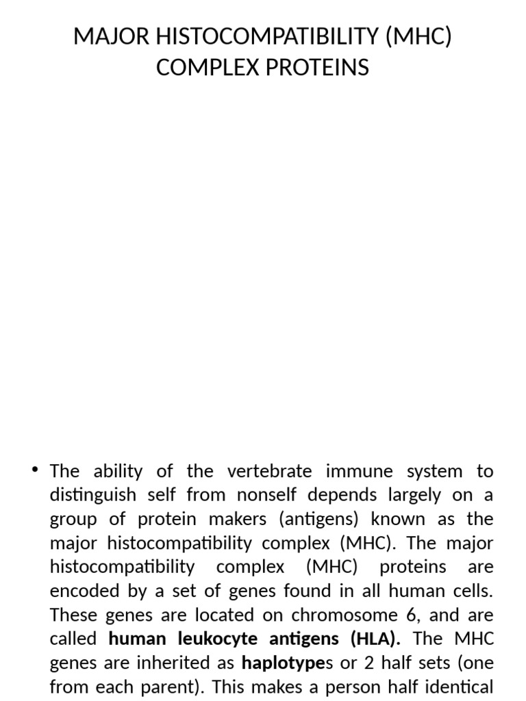 Major Histocompatibility Proteins | PDF | Major Histocompatibility ...