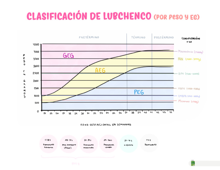 Clasificación de Lubchenco por Peso y EG | PDF