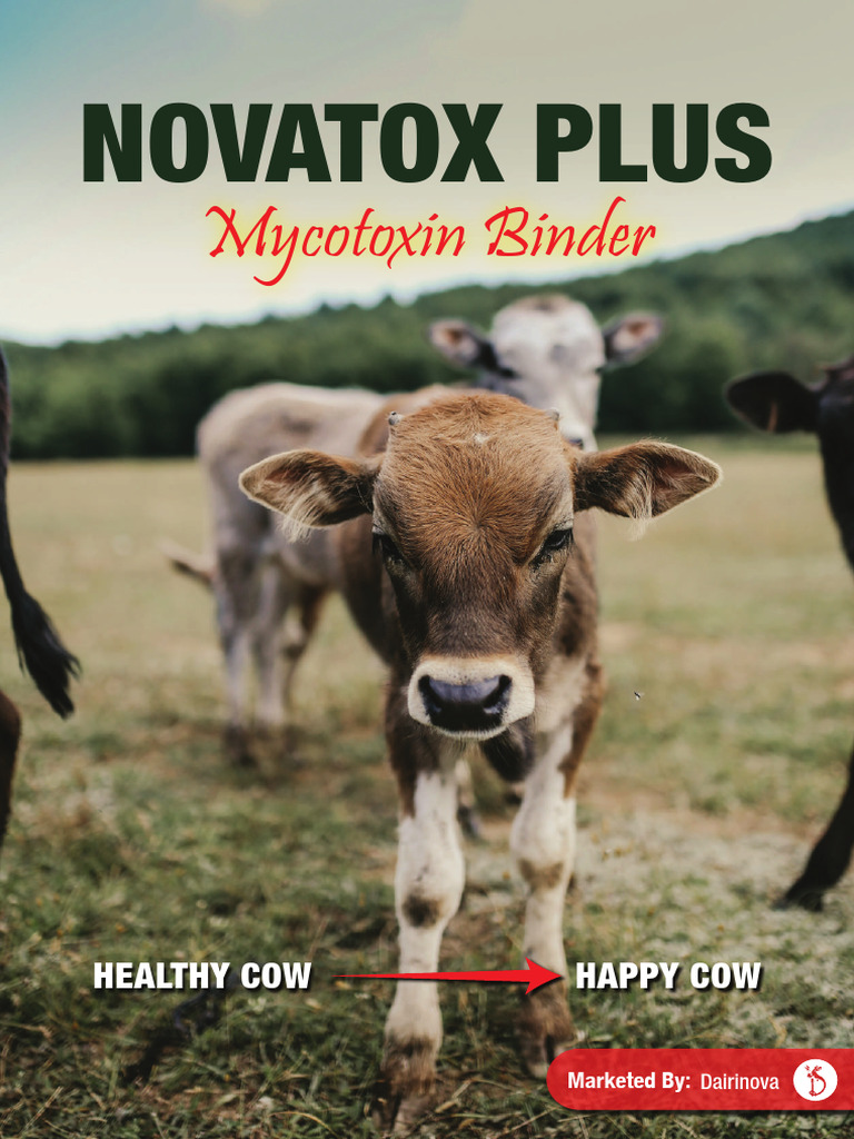 4 - Novatox Plus - Flyer - Compressed | PDF | Natural Materials