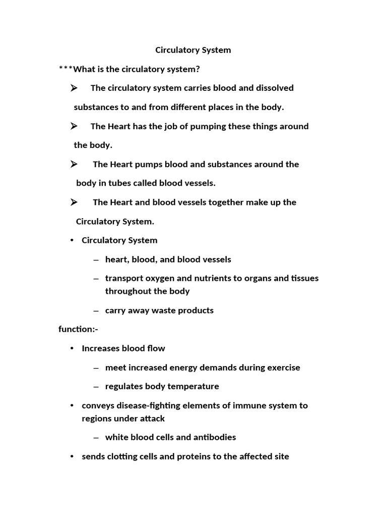 Overview of the Circulatory System | PDF | Circulatory System | Blood ...