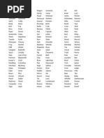 Codenames Custom Word List | PDF | Young Adult