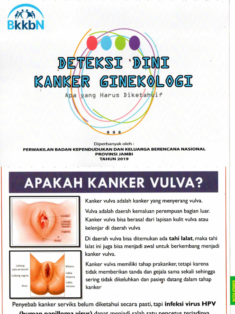 Penyuluhan Vulva | PDF