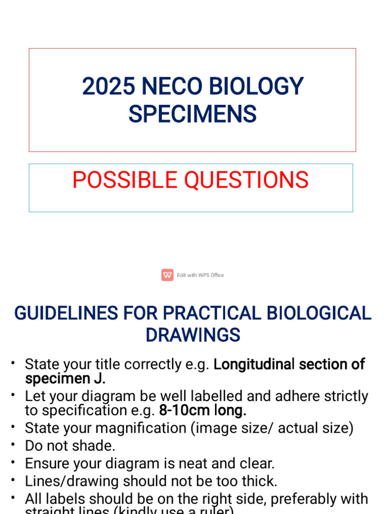 Neco 2025 Biology Specimens | PDF | Flowers | Plants
