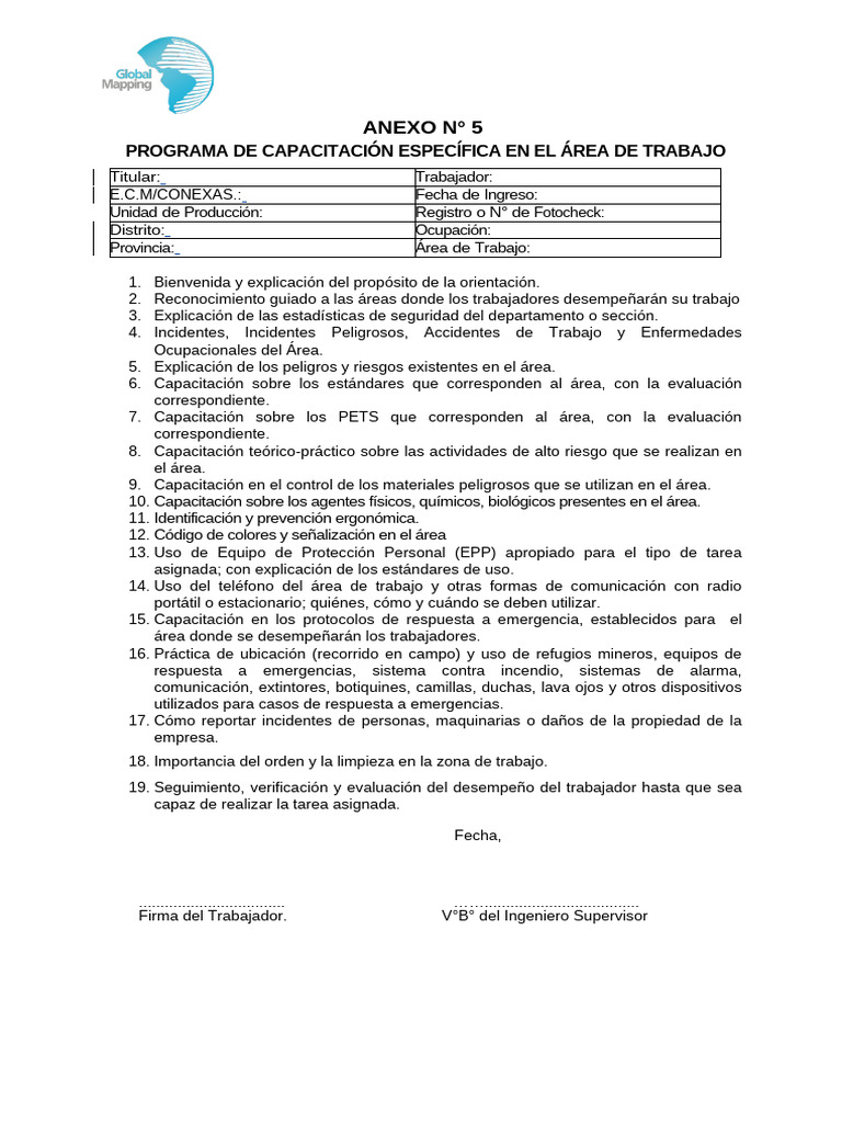 Formato de Anexo 05 | PDF | La seguridad