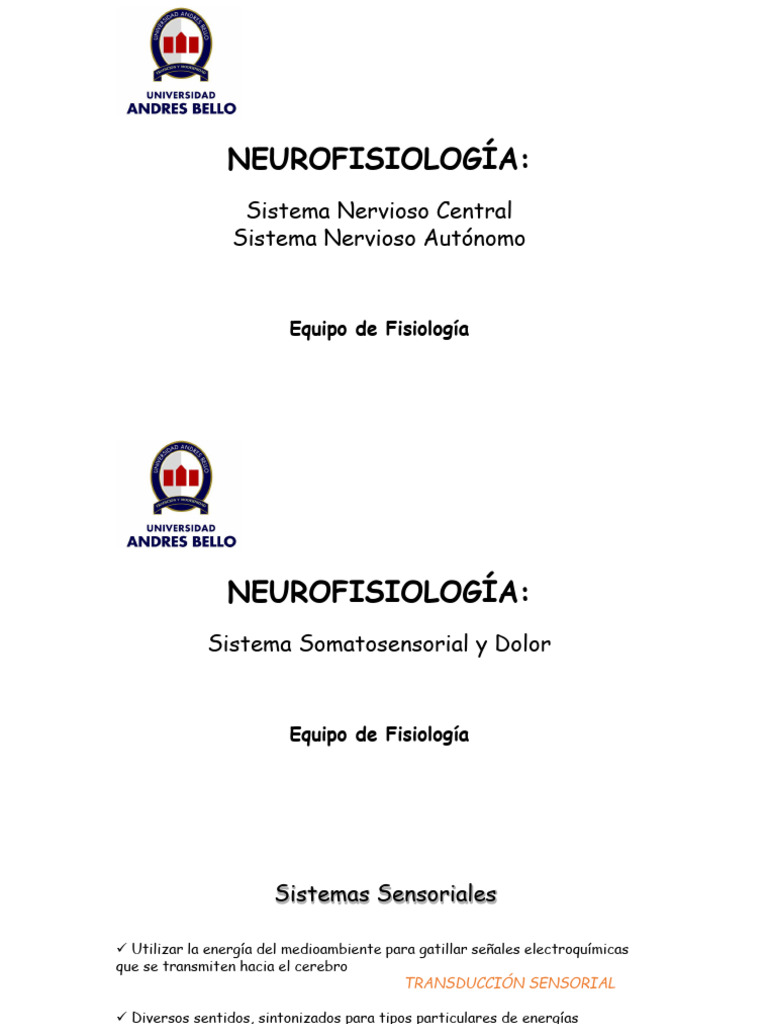 Clase+4+SNC SNA Fisiología+Sensorial +Contraccion+Muscular | PDF | Sentidos | Sistema ...