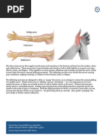 Median Nerve Glide Exercises Guide | PDF | Hand | Human Anatomy