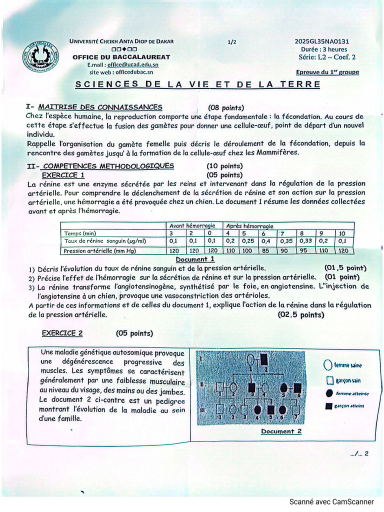 Bac SVT Tl2 2025 | PDF