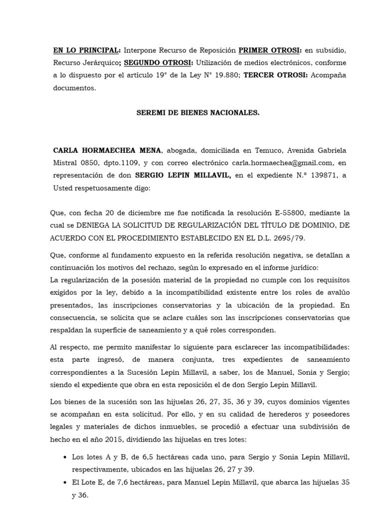 Recurso de Reposición Sergio Lepin Con Documento Adjunto | PDF