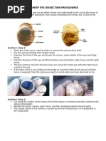 Sheep Eye Dissection Lab Guide | PDF | Eye | Facial Features