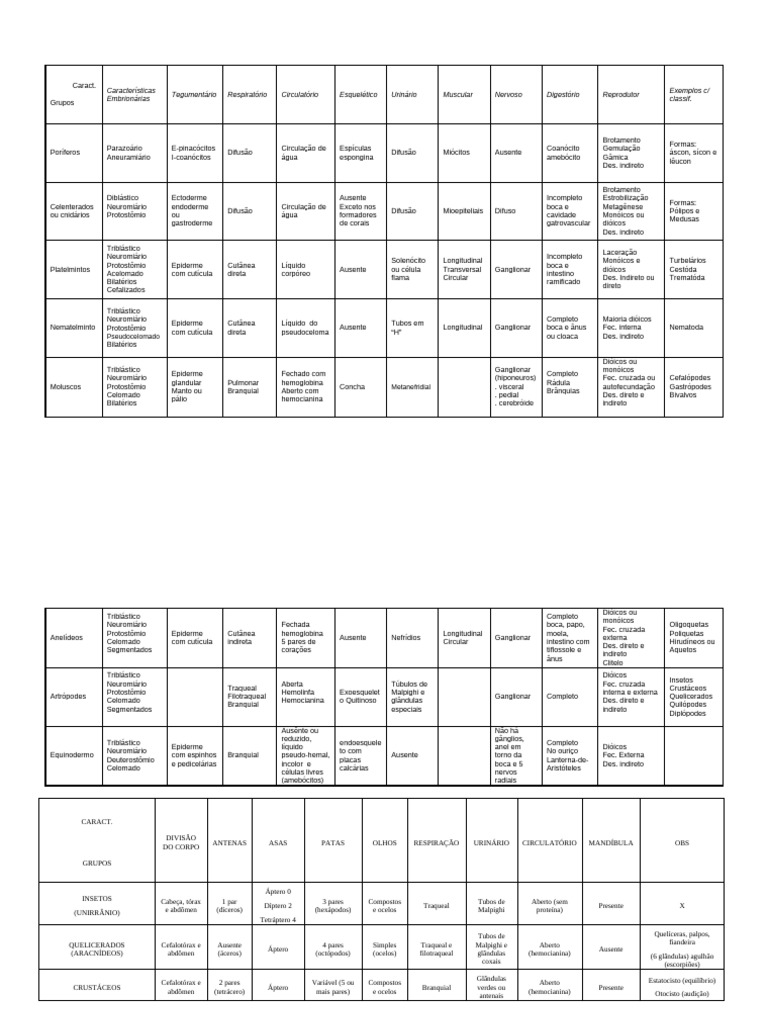 Tabela Do Reino Animal | PDF | Insetos | Sistema circulatório