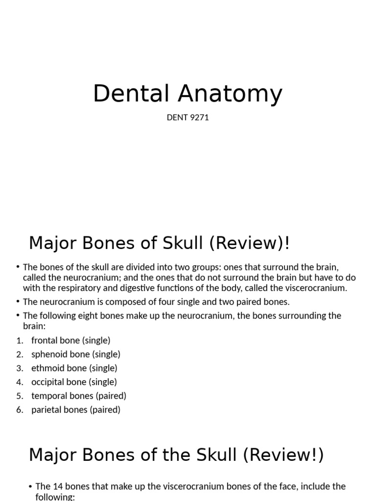 Major Skull Bones and Anatomy Overview | PDF | Human Nose ...
