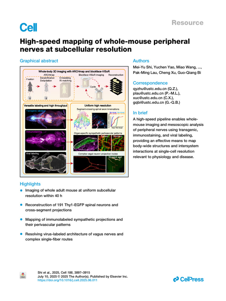 High Speed Mapping of Whole Mouse Peripheral Nerve | PDF | Vagus Nerve ...