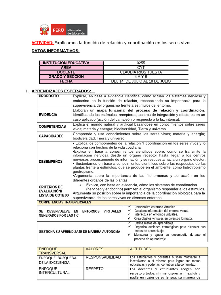 Explicamos La Función de Relación y Coordinación en Los Seres Vivos | PDF | Aprendizaje | Enseñando