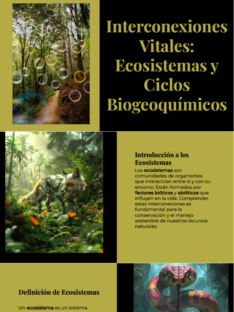Interconexiones Ecosistemas - Ciclos-Biog | PDF | Ecosistema | Entorno natural