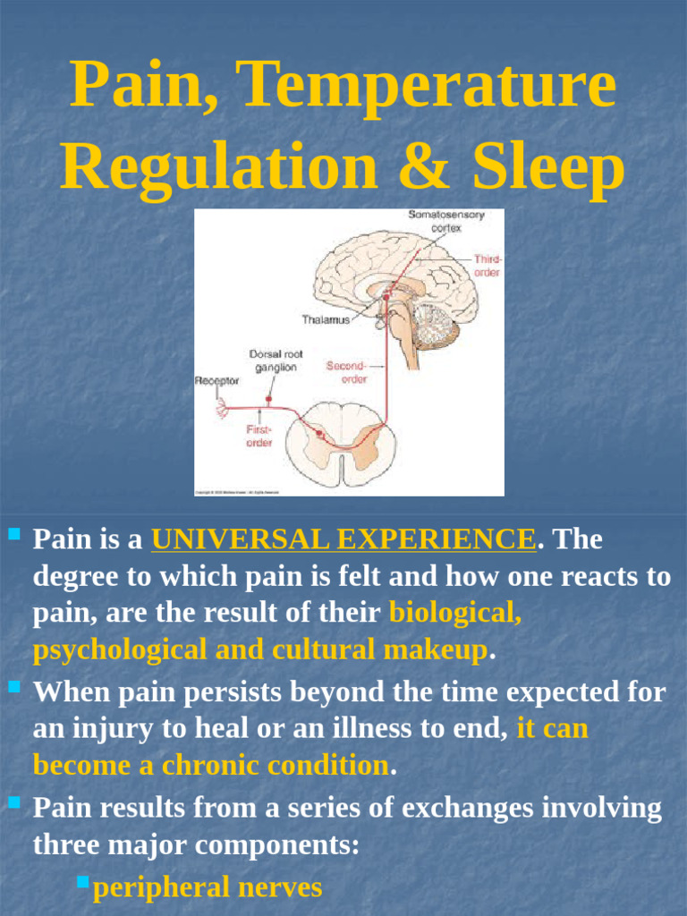 Understanding Pain and Temperature Regulation | PDF | Pain | Sleep Apnea