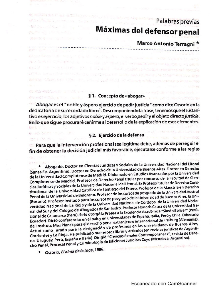 Máximas Del Defensor Penal - Terragni | PDF