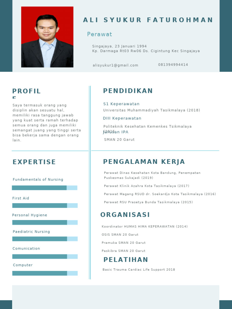 Ali CV | PDF