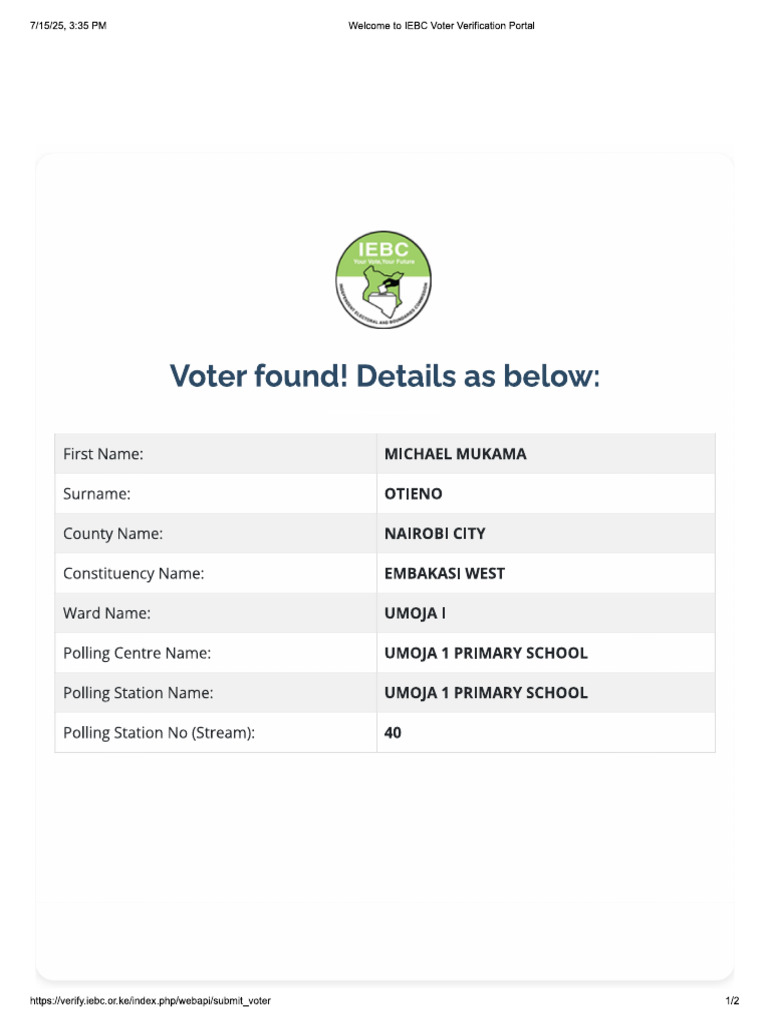 Vote Flyer | PDF