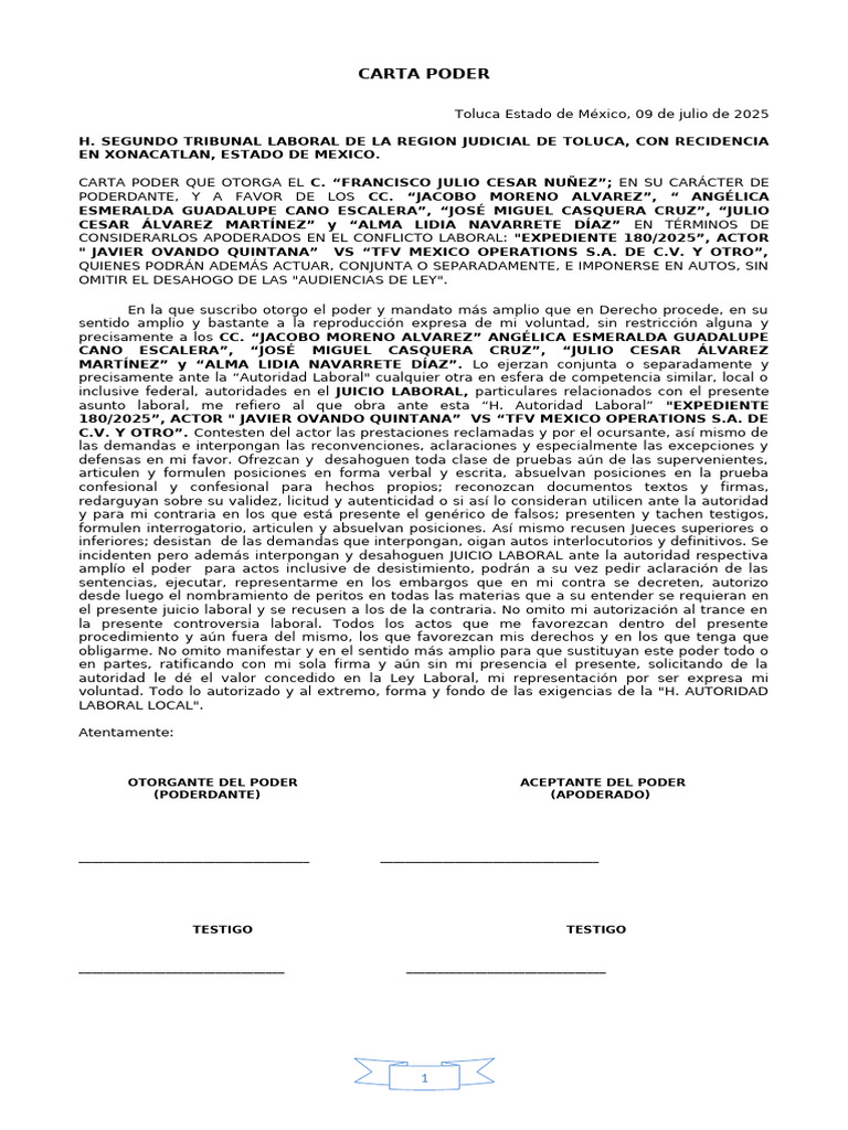 Carta Poder para Juicio Laboral 180/2025 | PDF | Testigo | Gobierno