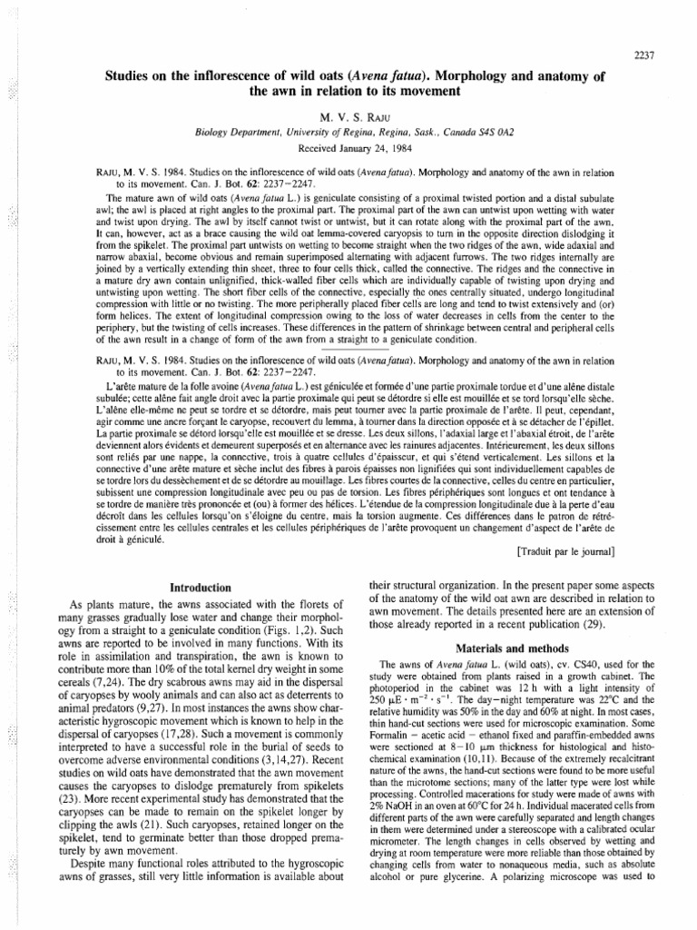 1984 - Studies On The Inflorescence of Wild Oats (Avena Fatua ...
