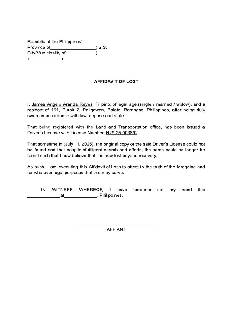 Affidavit of Lost-Lebron James | PDF