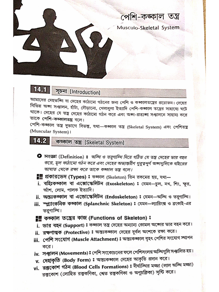 231132semester - 3, (Unit-2 - Musculo - Skeletal System) - 2.1 ...