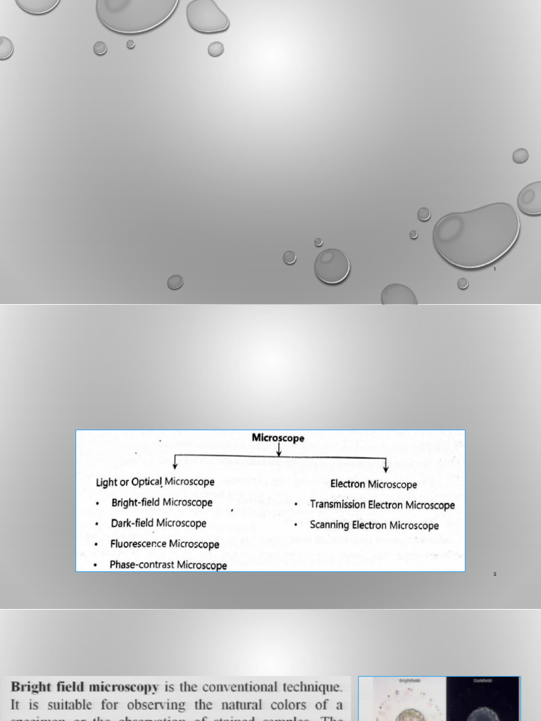 Microscopy Techniques in Microbiology | PDF