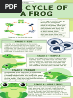 Lizard Life Cycle Stages Explained | PDF