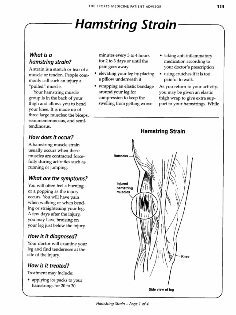 132 - Hamstring Strain | PDF